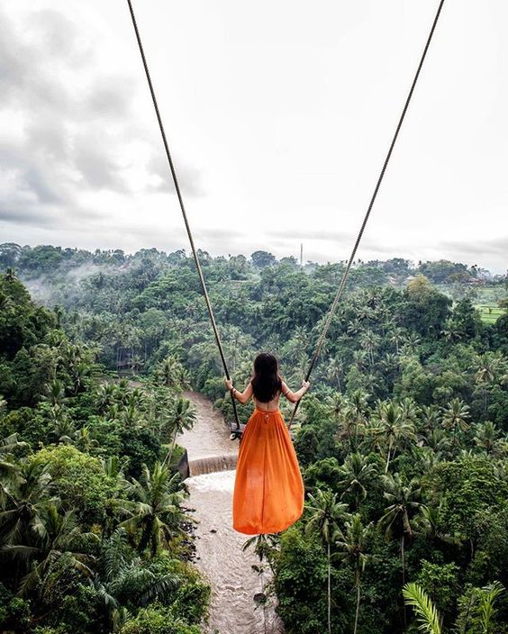 You Can Swing Like Tarzan And Jane From These 'Nests'!