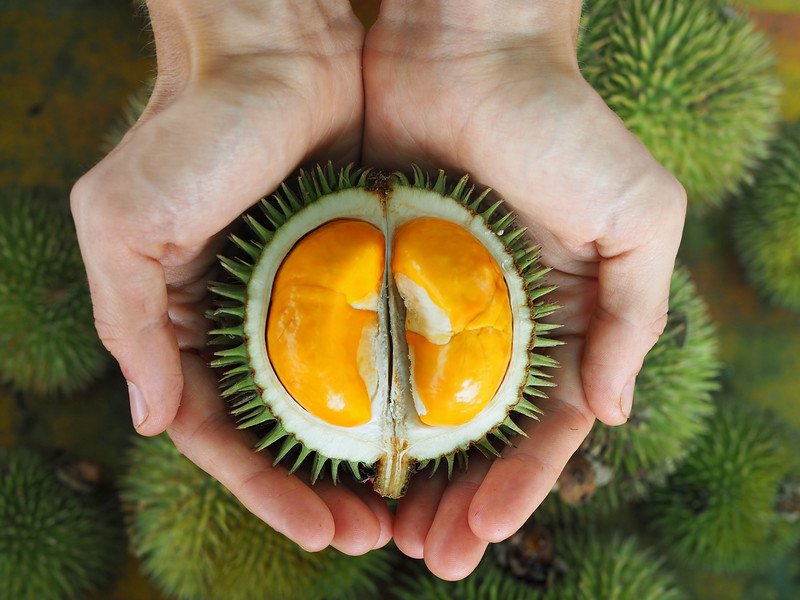 Omg, This Is Probably The World's Smallest And Cutest Durian Ever! # ...