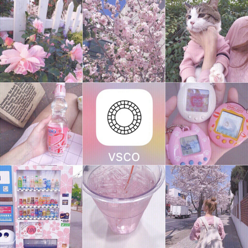 12 VSCO Filters Settings That Will Help You Get The Perfect Instagram ...