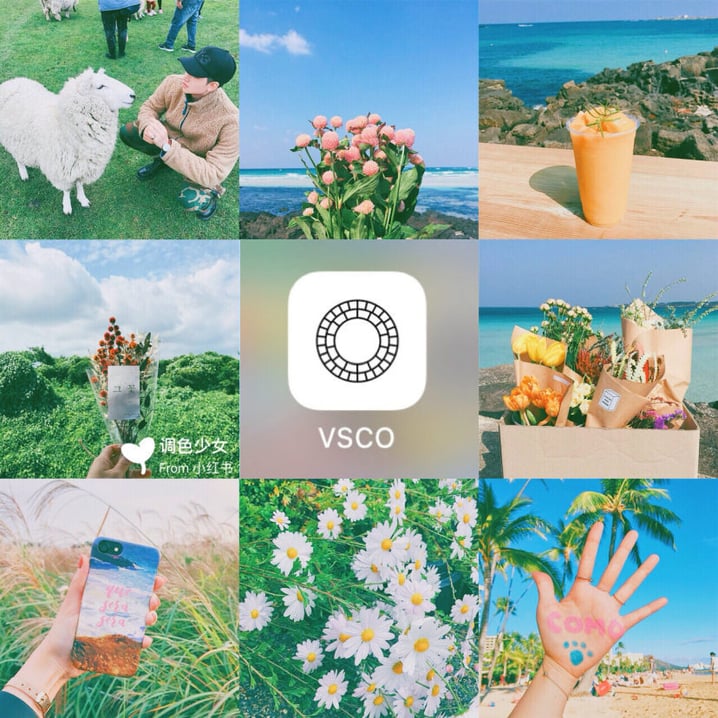 12 VSCO Filters Settings That Will Help You Get The Perfect Instagram Feed