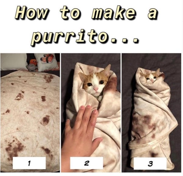 You Can Now Make Your Human Burrito Dreams Come True With This Burrito ...