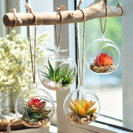 Terrarium Inspiration To Brighten Your Room