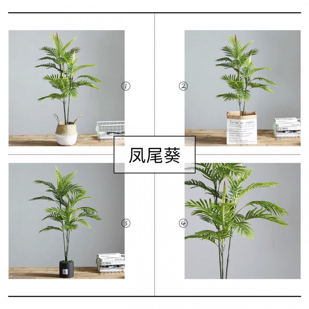 6 Easy-To-Care & Insta-worthy Plants For Decor In Your Home