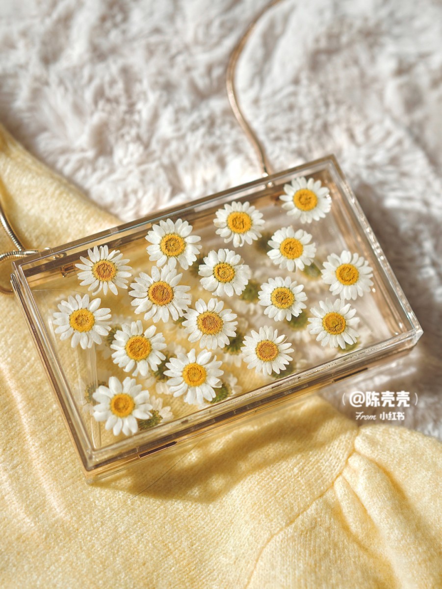 ZARA's Transparent Daisy Bag Is So Pretty & Elegant It's A Must-Get!