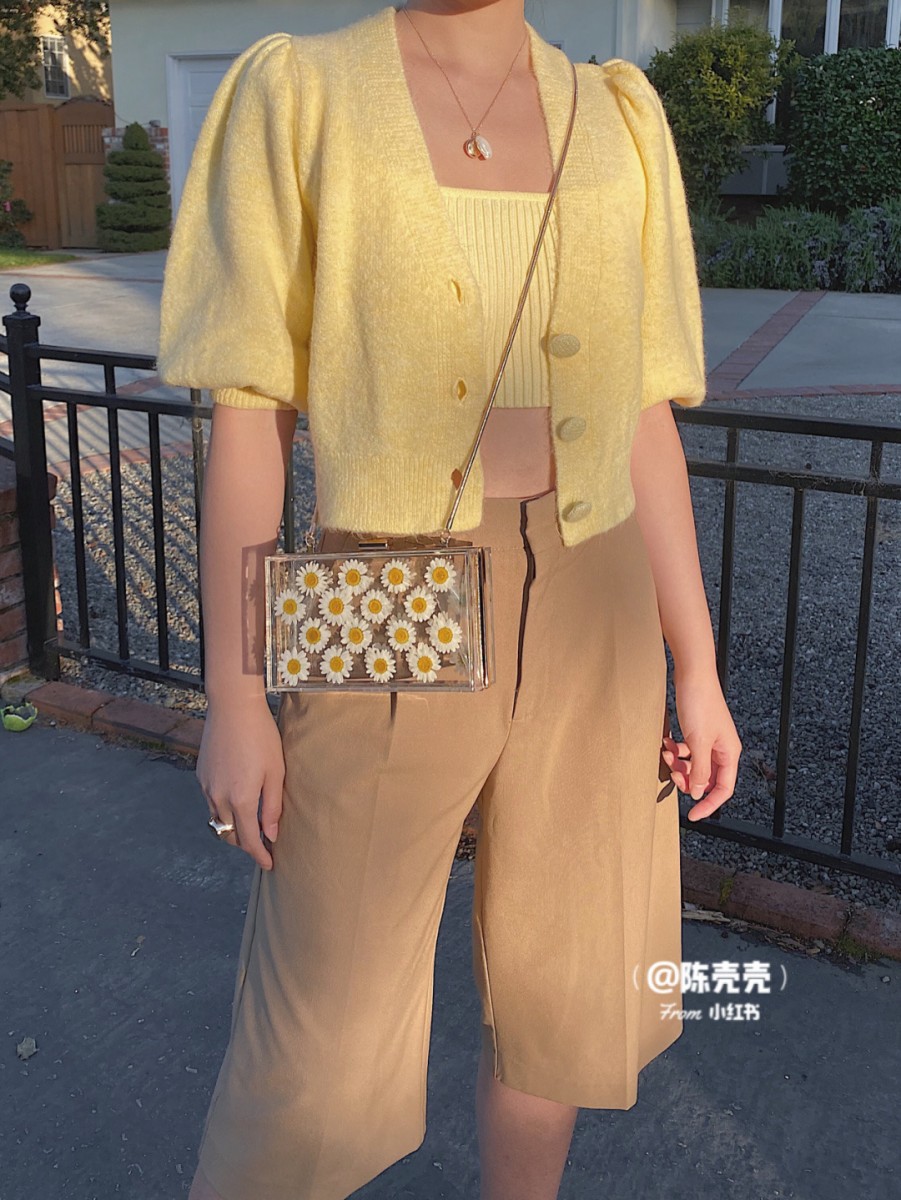 This Trending Transparent Daisy Bag Is So Pretty And Elegant That It's ...