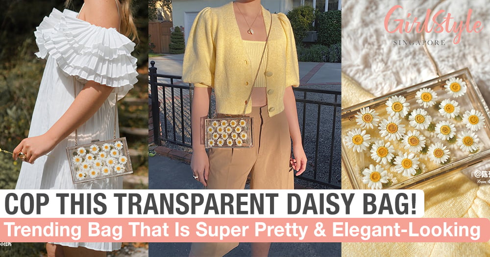ZARA's Transparent Daisy Bag Is So Pretty & Elegant It's A Must-Get!