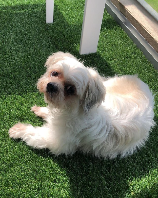 NOC's Ryan & Sylvia Divorce After 10 Years Of Being Together