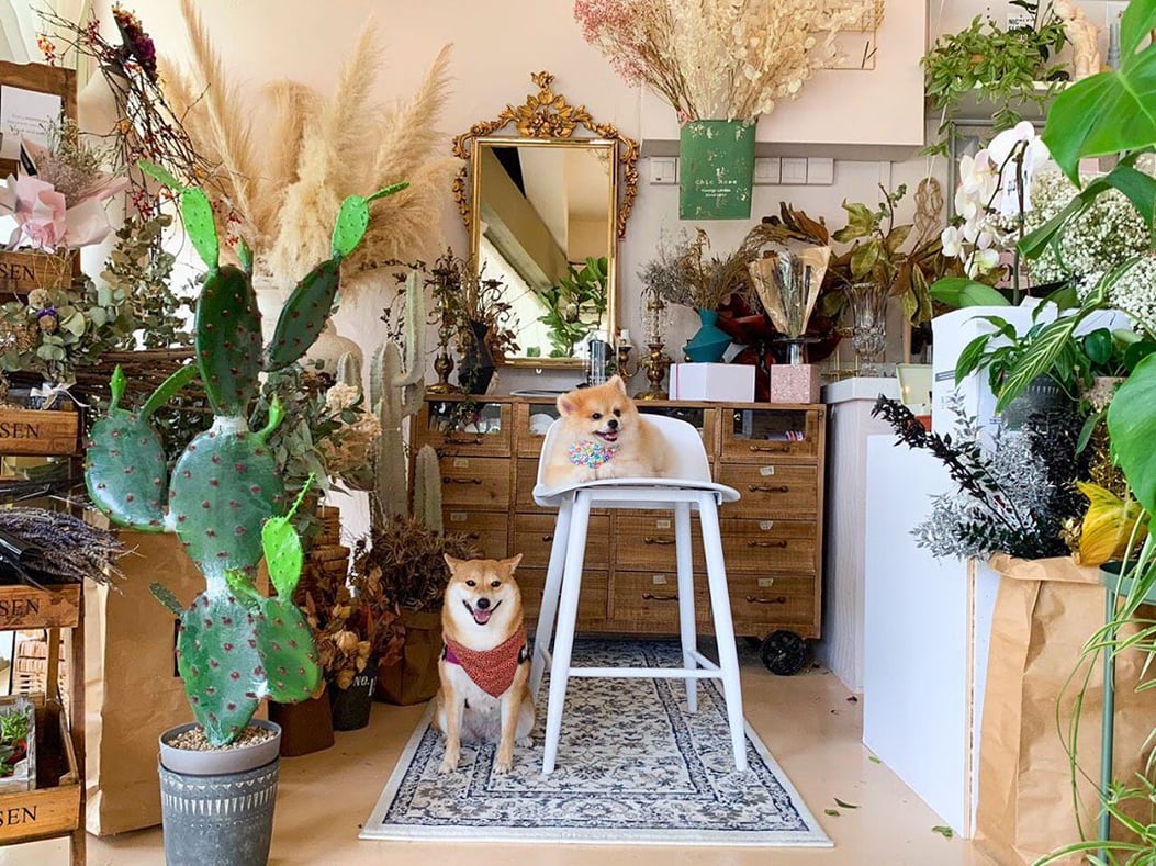 Insta-Worthy Floral Cafes In Singapore