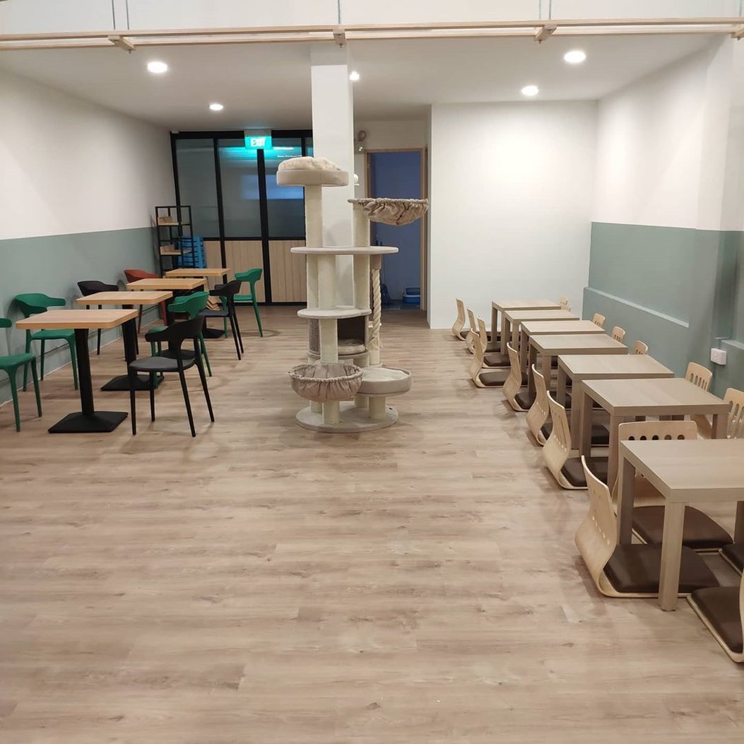 The Cafe Cafe At The Rail Mall Bukit Timah, Singapore