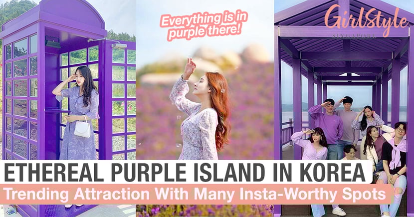 Banwol Island: Ethereal Purple Island In Korea With Insta-Worthy Photo ...