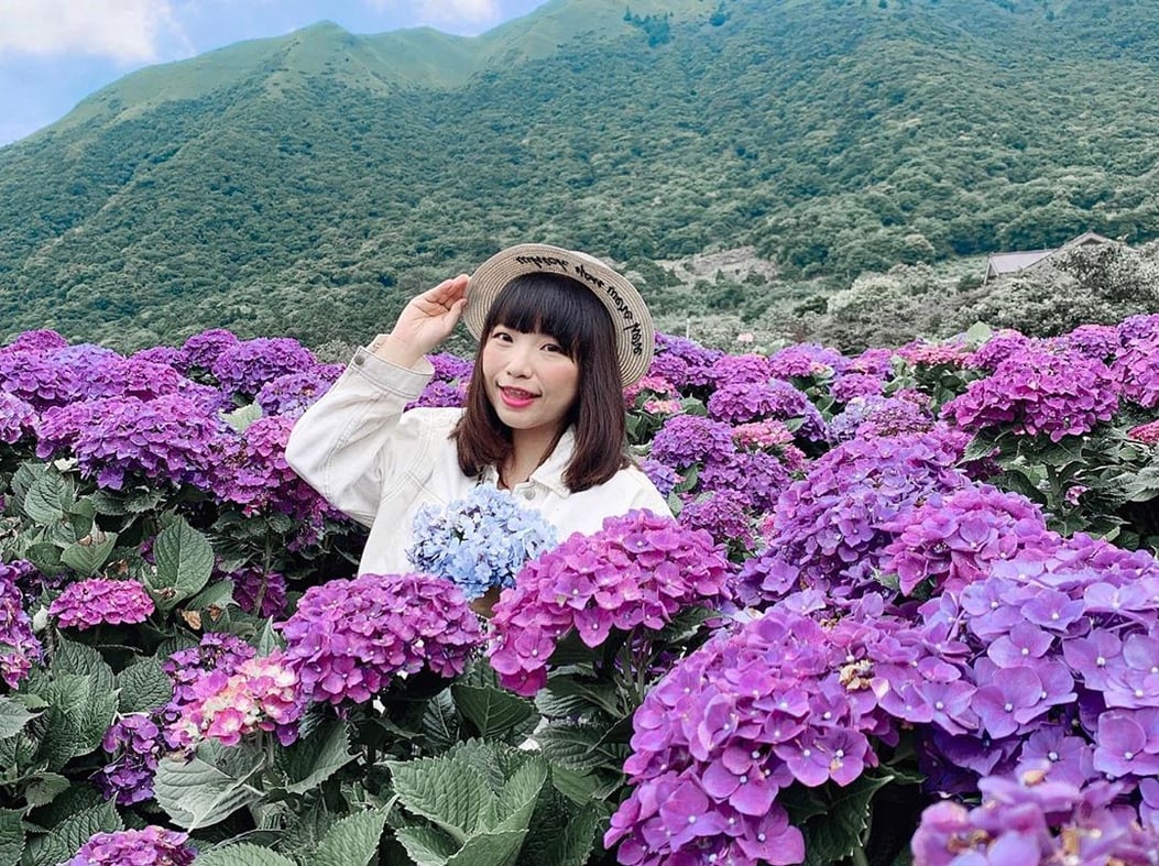 Stunning Field Of Hydrangeas In Taipei, Taiwan Is A Must-Visit Flower ...