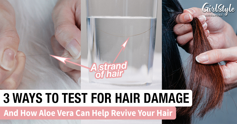 How To Test For Hair Damage & A Review Of Herbal Essences Potent Aloe