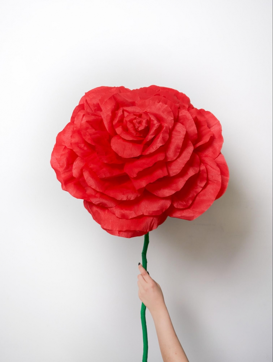 Giant Crepe Flowers By Singapore Store, The Fhing - For Proposals, Pre ...