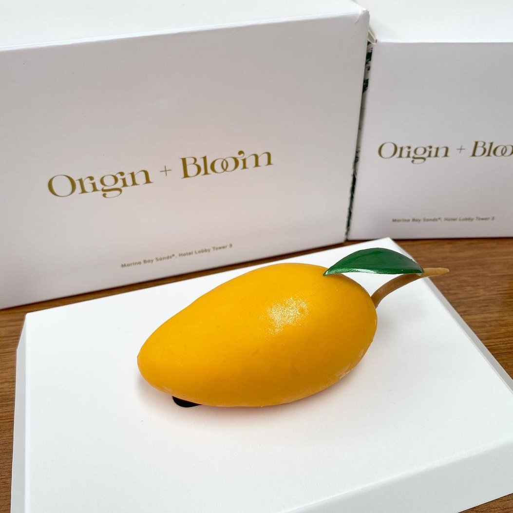 Origin + Bloom Cafe: Hojicha Bubble Tea-Shaped Cake In Singapore