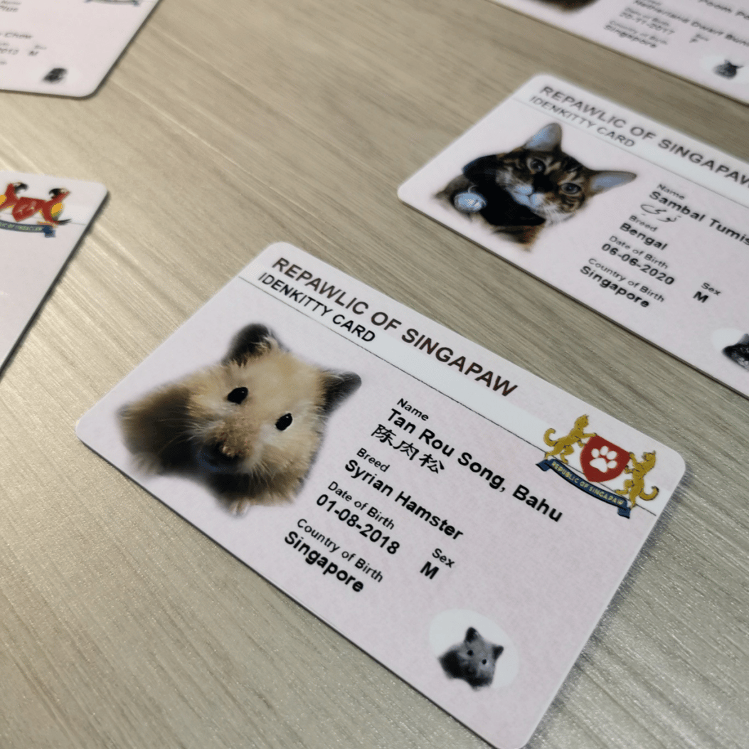 Pet Identity Cards In Singapore: Pink ICs For Your Dog, Cat, Or Rabbit