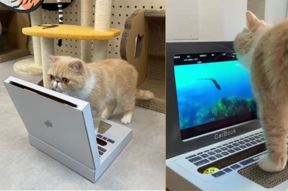 Special Backpack With LED Screen Lets You Play Games & Customise Pixel ...