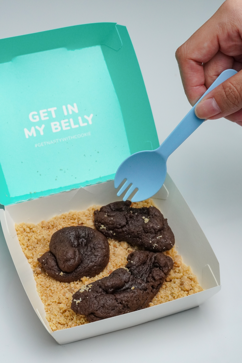 Nasty Cookie Cat Poop Brownies In Cat Litter In Singapore 2021