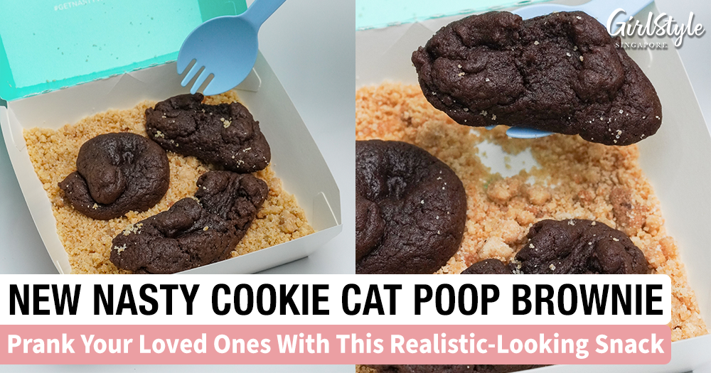 Nasty Cookie Cat Poop Brownies In Cat Litter In Singapore 2021