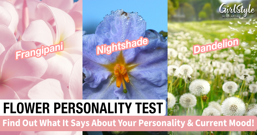 Rock & Herb Personality Test: Pick A Flower And We’ll Match You With A ...
