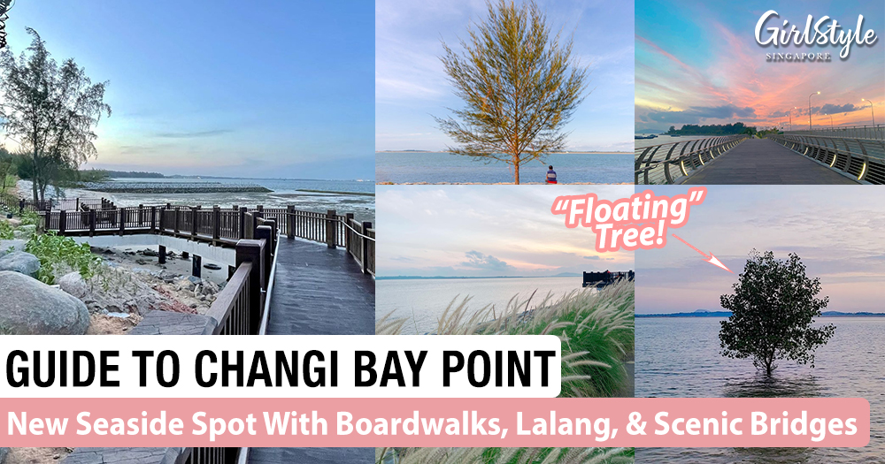 Changi Bay Point Guide: "Floating" Tree, Seaside Boardwalks, Lalang & More