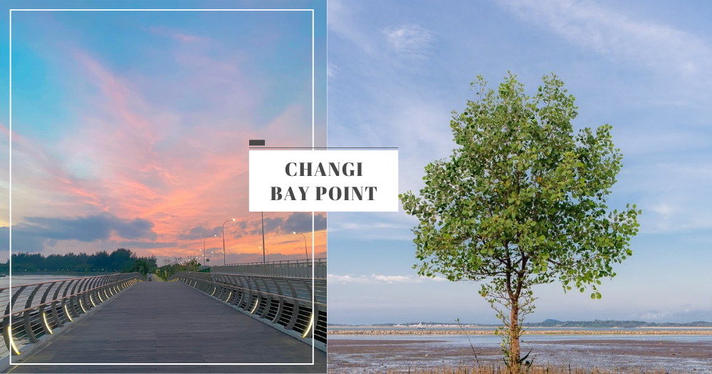 Changi Bay Point Guide: "Floating" Tree, Seaside Boardwalks, Lalang & More