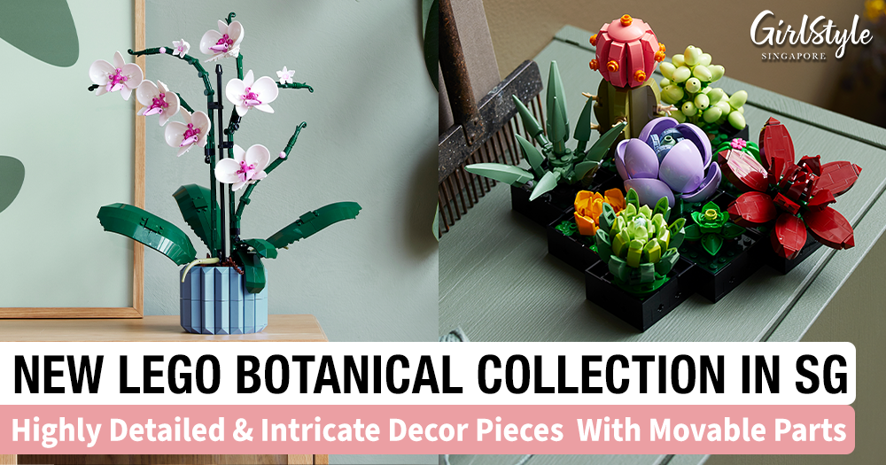 New LEGO Botanical Collection Orchid & Succulents In Singapore ...
