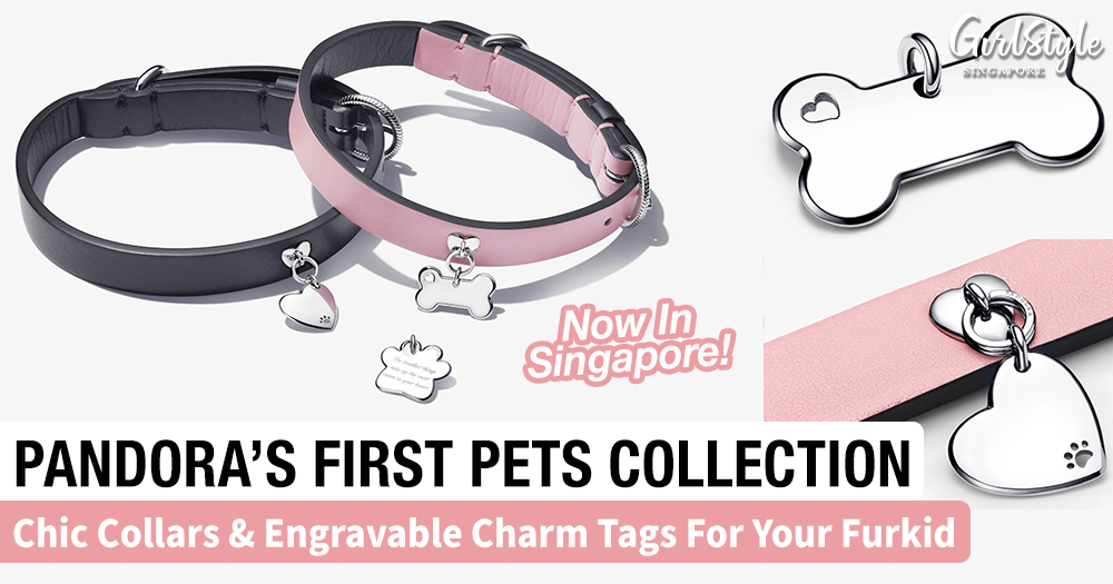 Pandora's Pet Collection: Pet Collars & Engravable Charm Tags