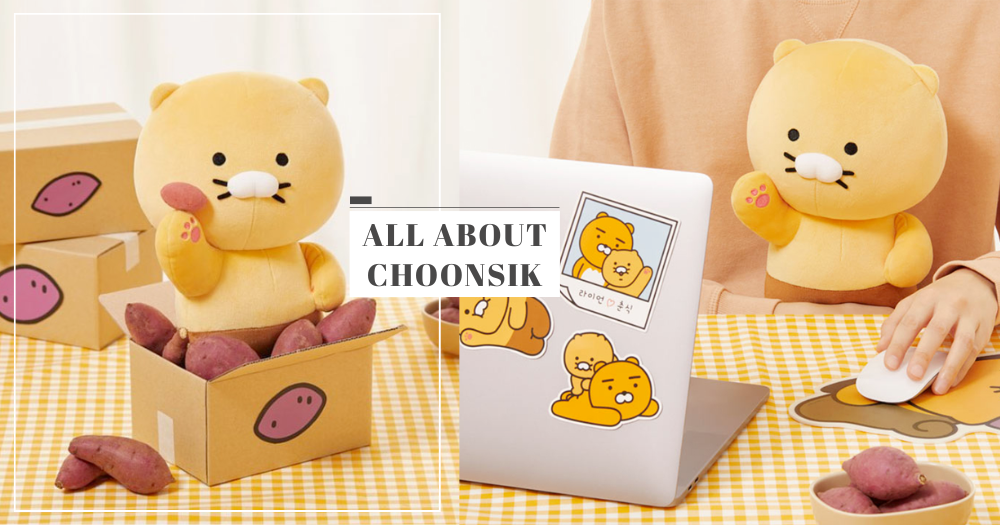 Choonsik, KAKAO FRIENDS' Newest Character - 8 Fun Facts