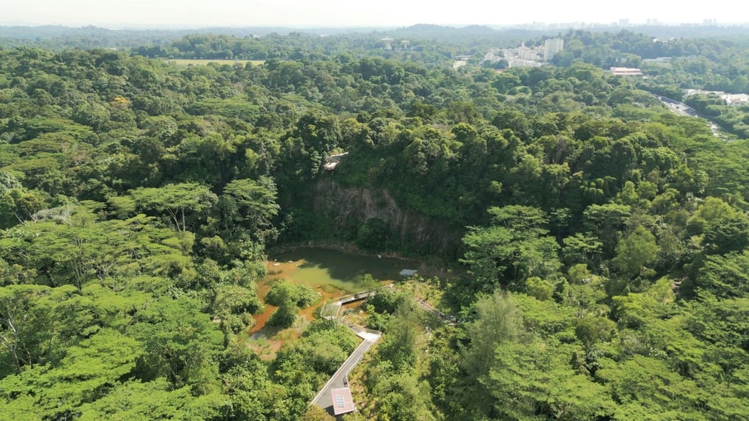 Rifle Range Nature Park In Singapore Reopens With 7km Of Boardwalks ...