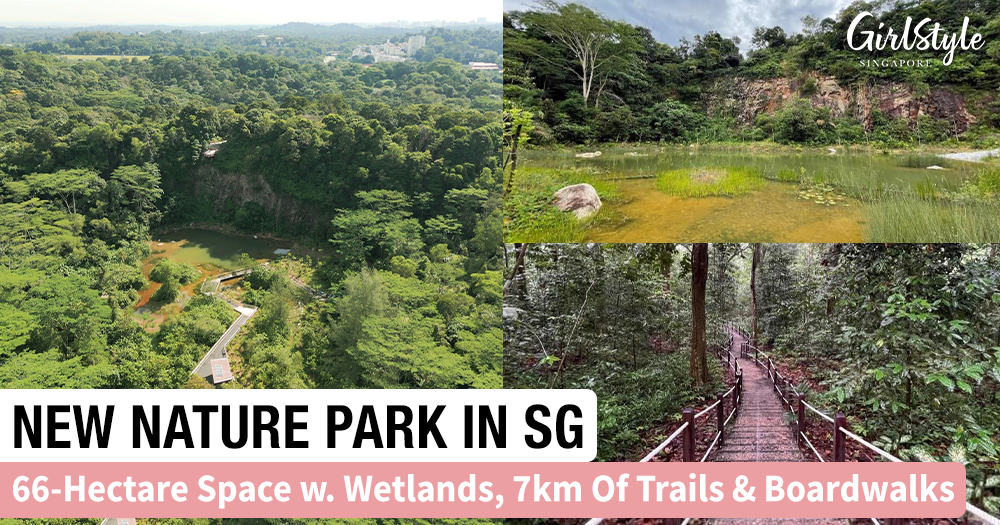 Rifle Range Nature Park In Singapore Reopens With 7km Of Boardwalks ...