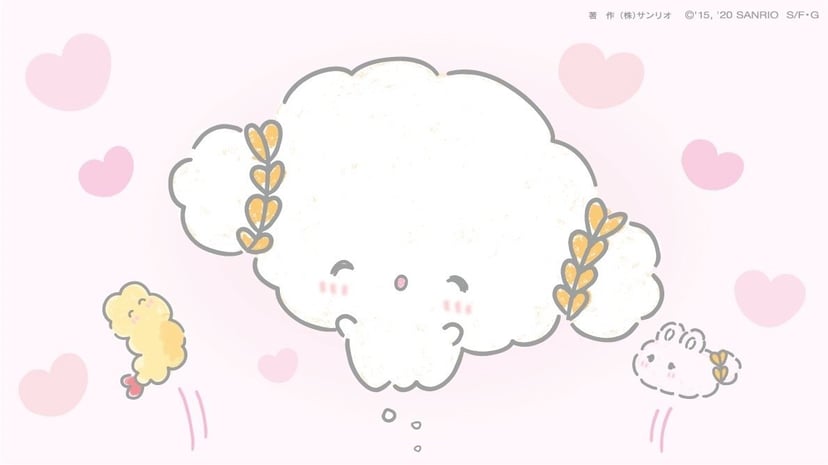 Cogimyun: 9 Facts About This Cute Sanrio Character