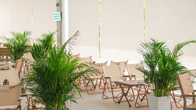 TEN+ Tenplus Glamping Tent Cafe & Bistro In Tengah Singapore