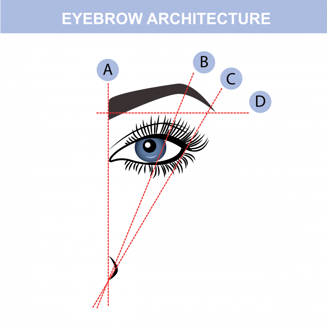 Step-By-Step Guide On How To Pluck & Trim Your Eyebrows Into The Right ...