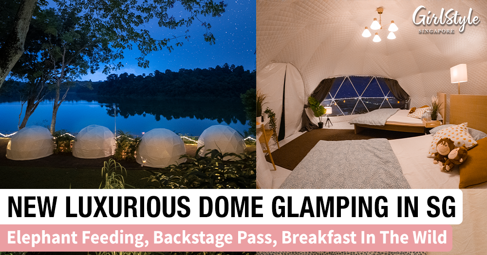 Luxurious Air-Con Dome Glamping At Singapore Zoo Comes With Breakfast ...