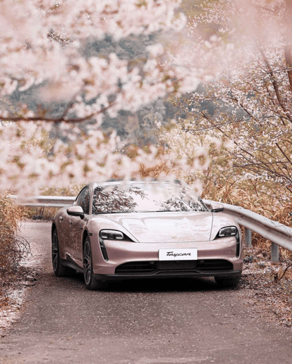 Porsche Taycan Frozen Berry: Gorgeous Metallic Pink Supercar Inspired ...