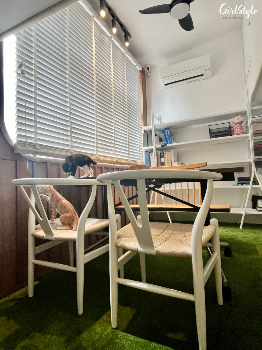 Meownistry Of Meow: New Co-Working Space With Cats, Free-Flow Drinks ...