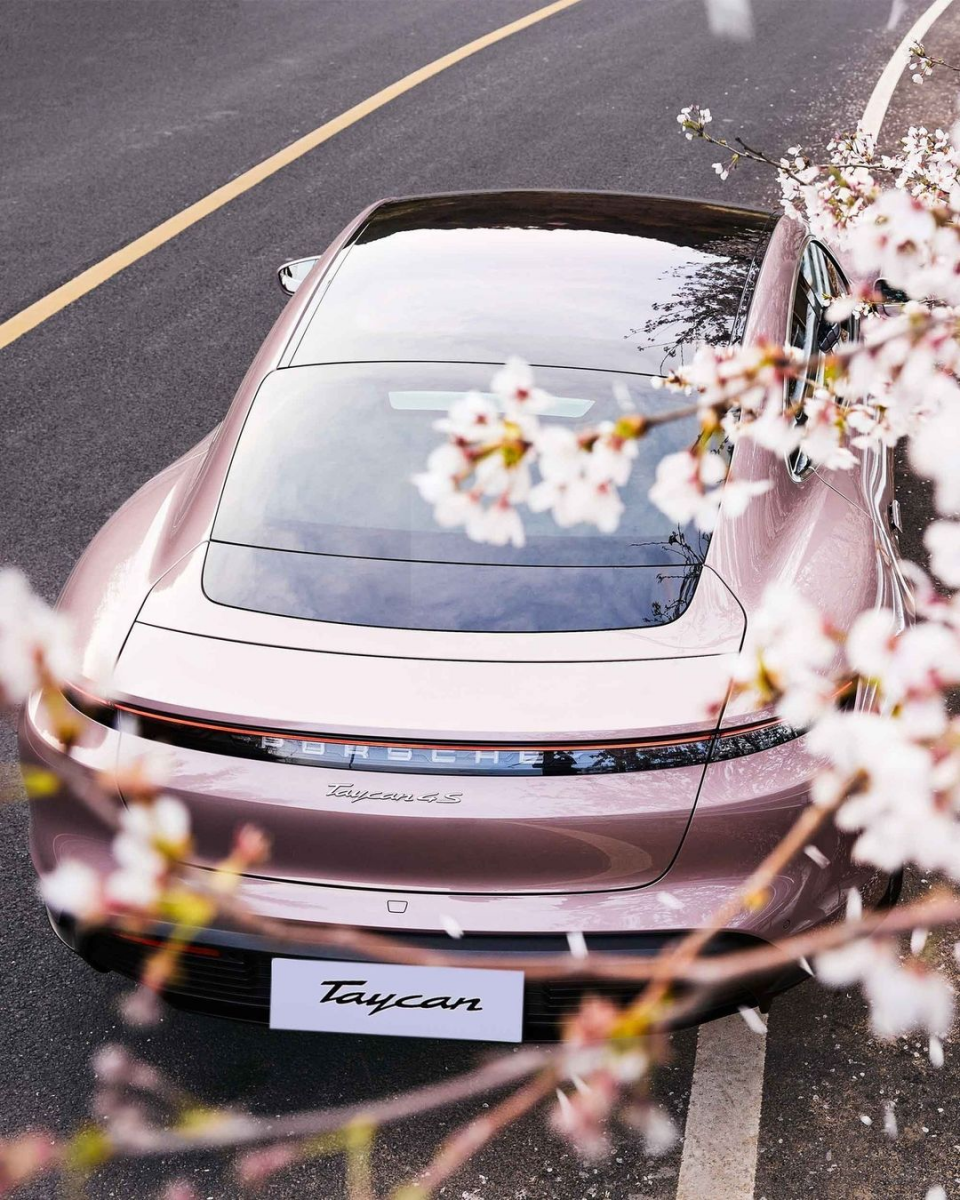 Porsche Taycan Frozen Berry: Gorgeous Metallic Pink Supercar Inspired ...