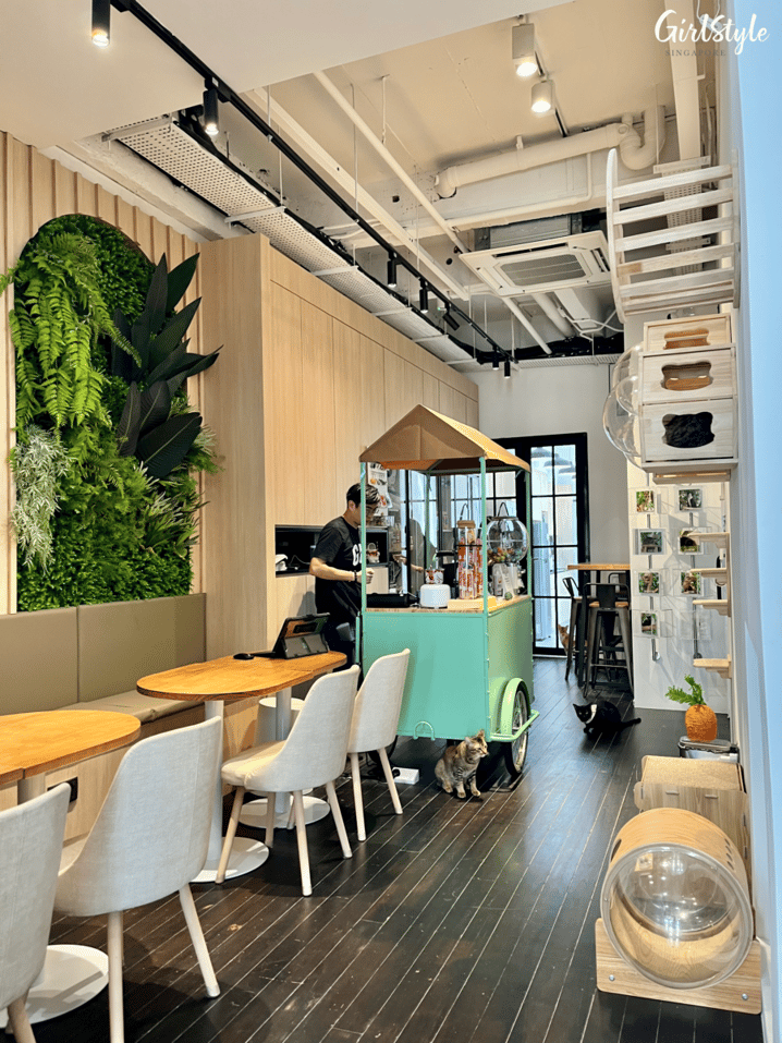 Meownistry Of Meow: New Co-Working Space With Cats, Free-Flow Drinks ...