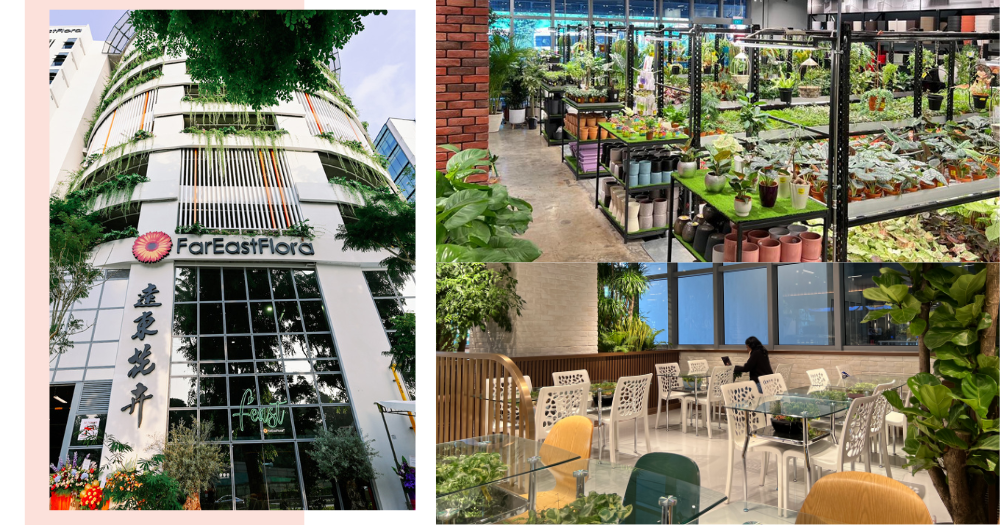 Far East Flora Vertical Flora Centre & Cafe In Clementi