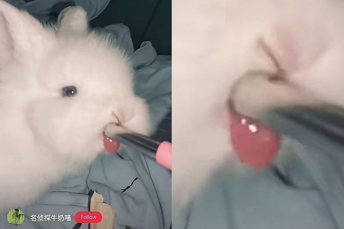 5 Perfectly Pink Lip Tints & Glosses To Get You The Viral Bunny Tongue Look