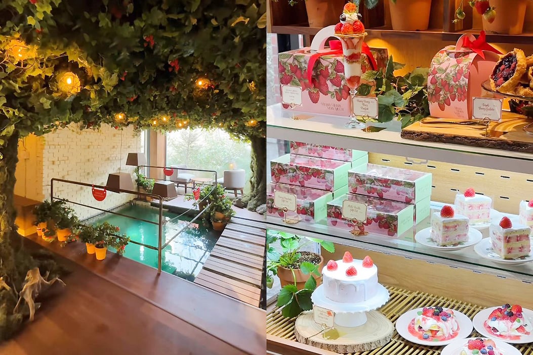 Feast On Fresh Strawberry Desserts, Gorgeous Parfaits & Visit An ...