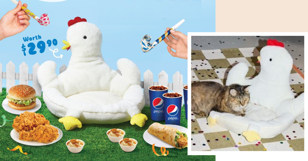 Texas Chicken Cushion Floor Chairs With Purchase This April