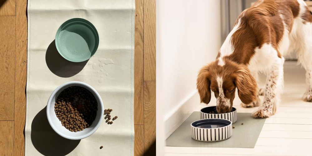 7 Pawsitively Stylish Pet-Friendly Design Tips For Your Home
