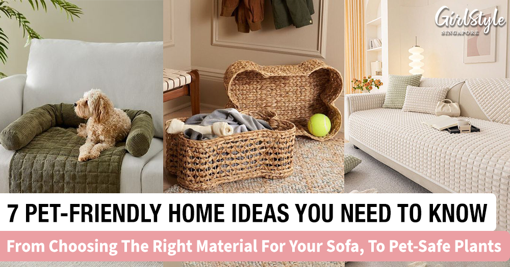 7 Pawsitively Stylish Pet-Friendly Design Tips For Your Home