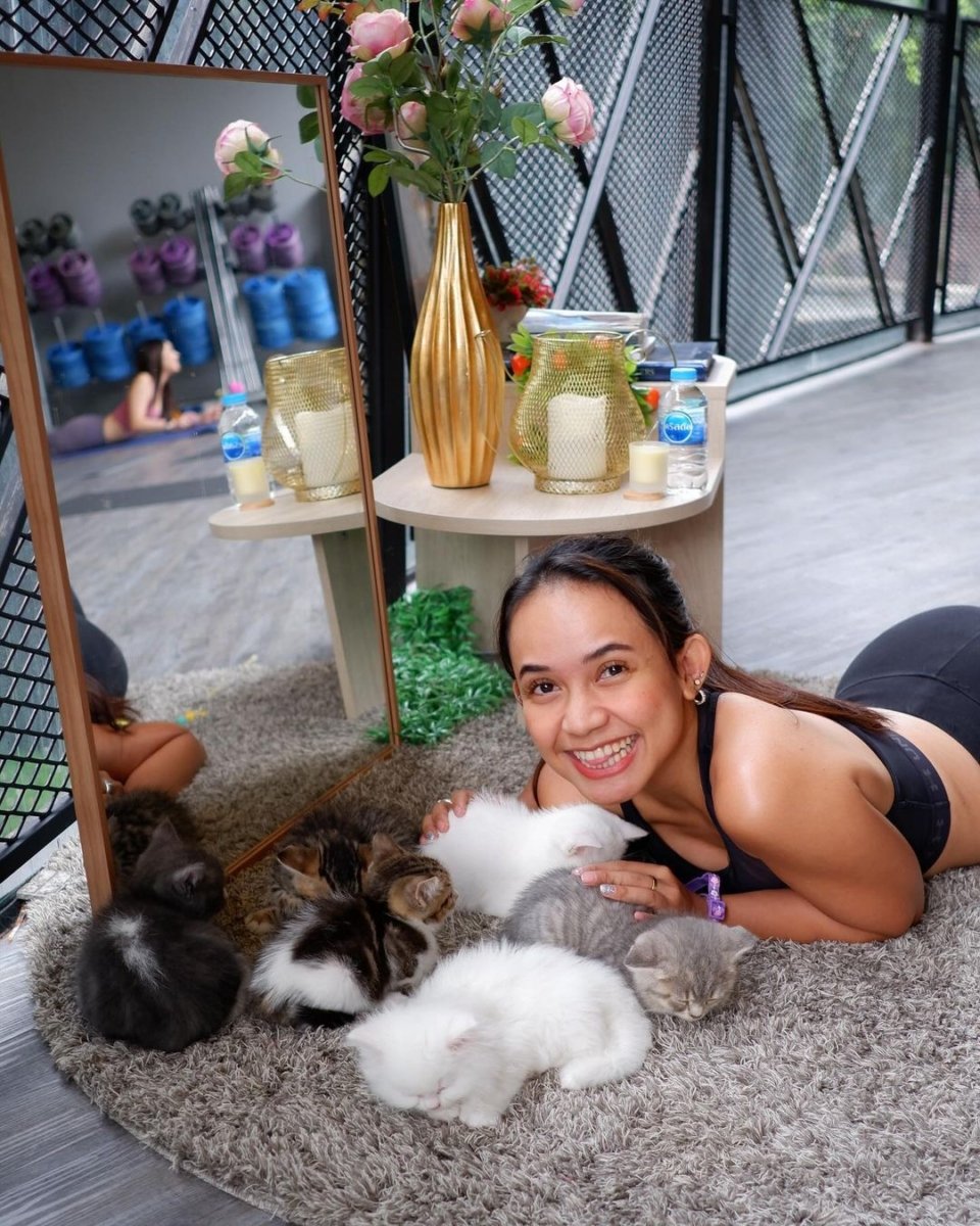 This New Kitten Yoga Studio In Bangkok Lets You Cuddle With 17 Furballs During Classes