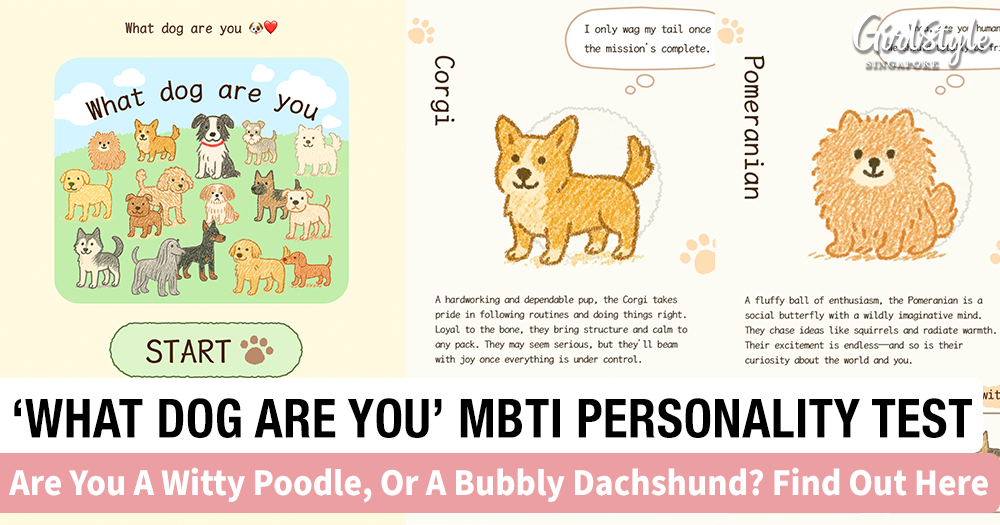 What Dog Are You Based On Your MBTI? Take The Quiz
