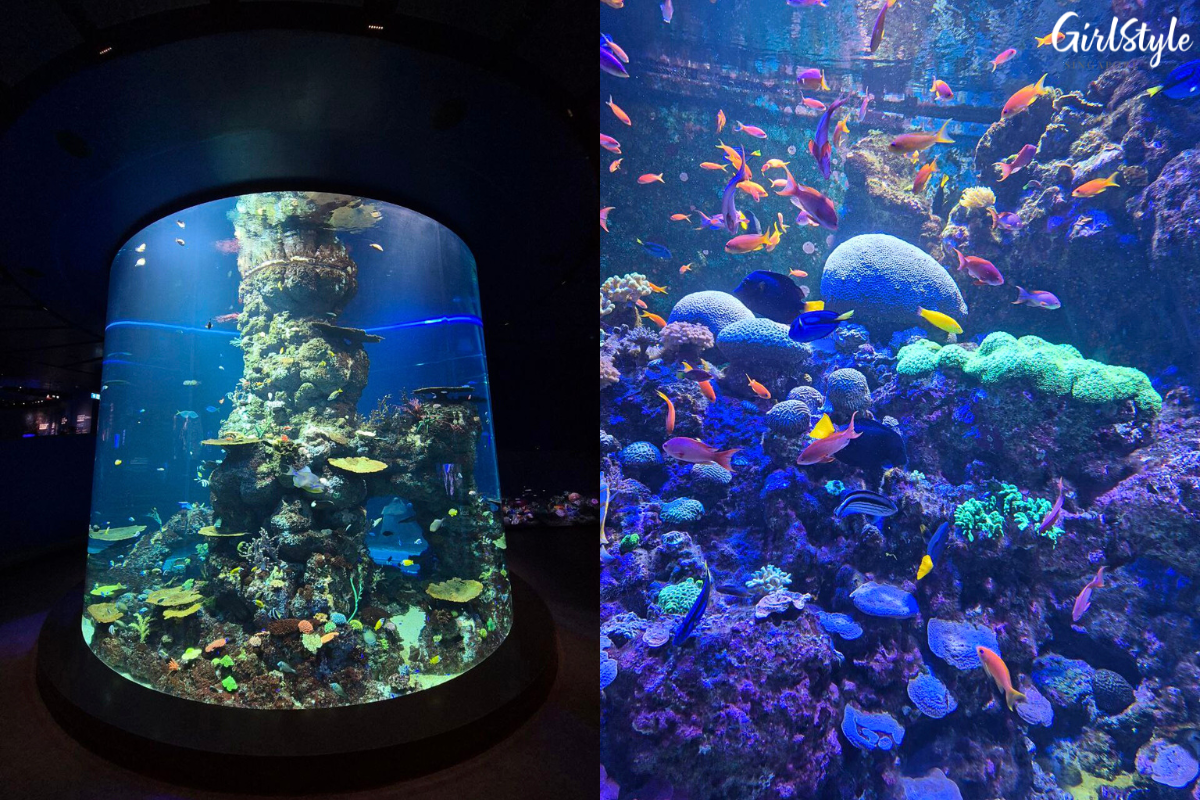 Shell Yeah! Singapore’s New Oceanarium Is Now Open At Sentosa