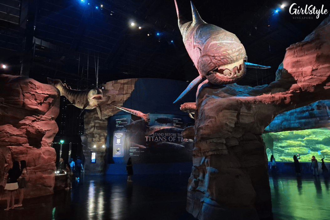 Shell Yeah! Singapore’s New Oceanarium Is Now Open At Sentosa